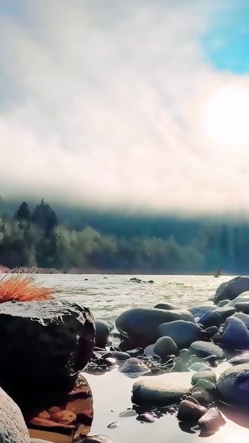 3 Часа Расслабления | Звуки Реки, Пение Птиц и Спокойная Музыка для Медитации и Сна 🌿🕊️🌿