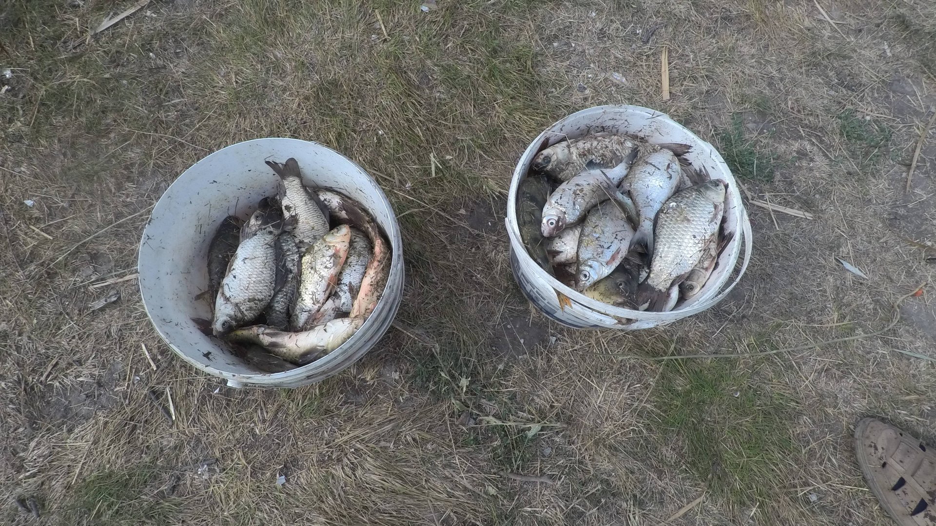 Рыбалка на реке Сал.Ночной гость