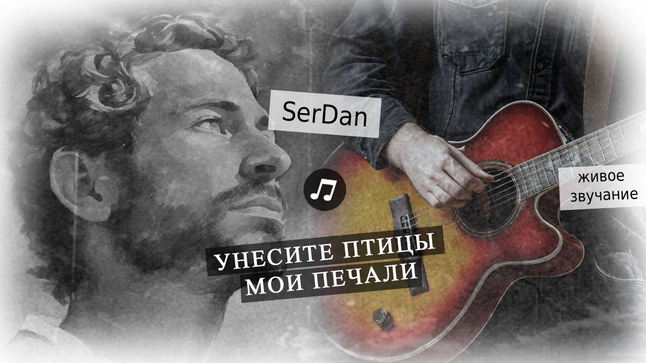 "Унесите птицы мои печали" — Трогательный шансон от SerDan: Погружение в мир эмоций и живого звука!