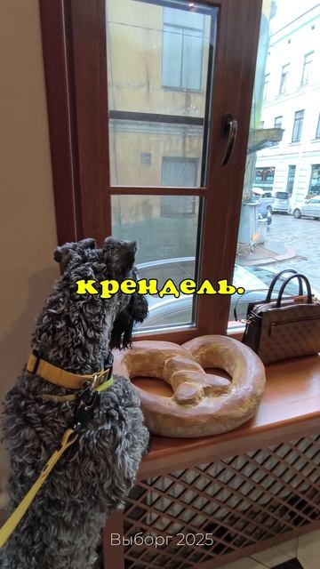 Завтрак в кафе