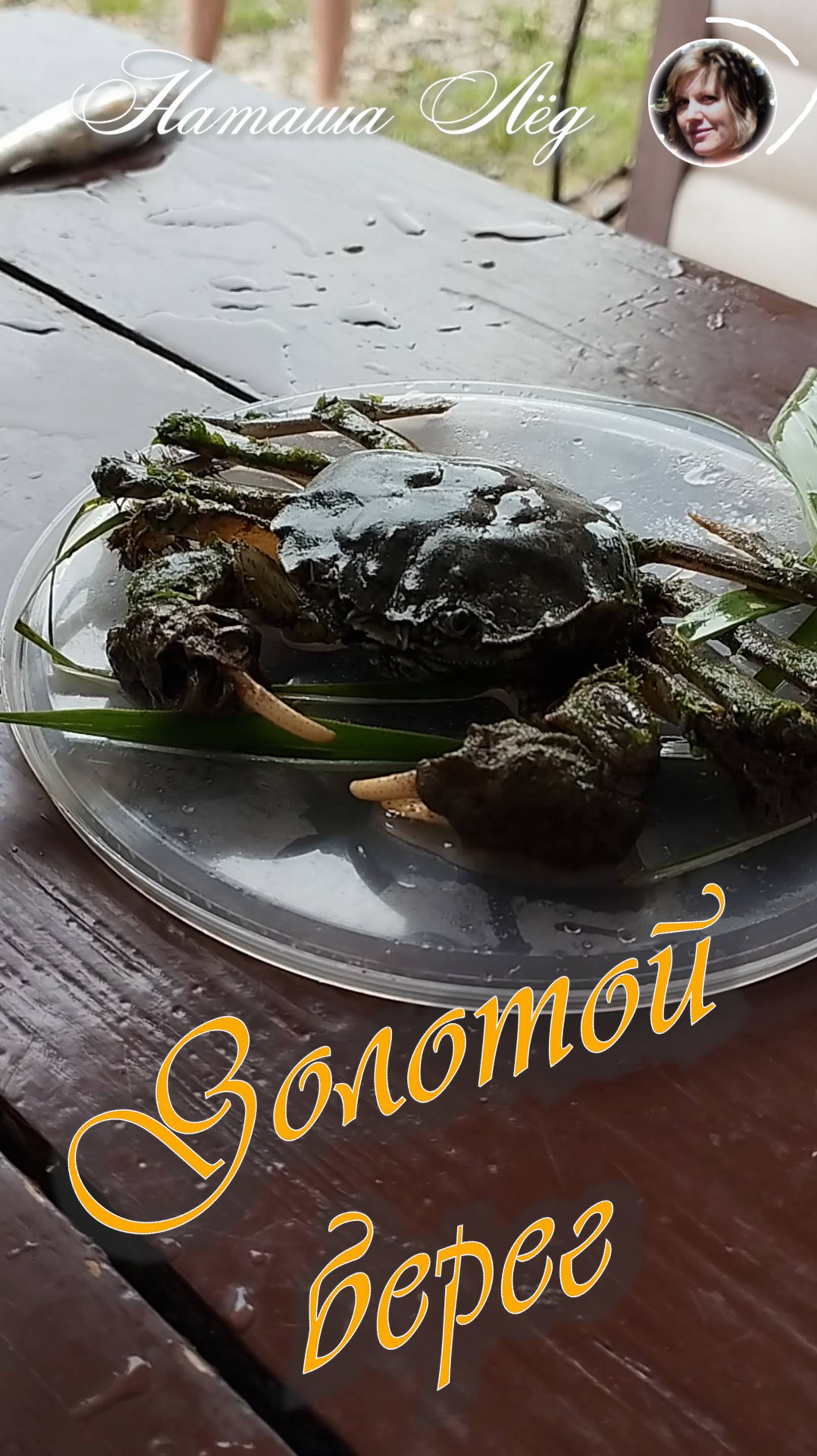 Рыбалка на базе отдыха Золотой берег