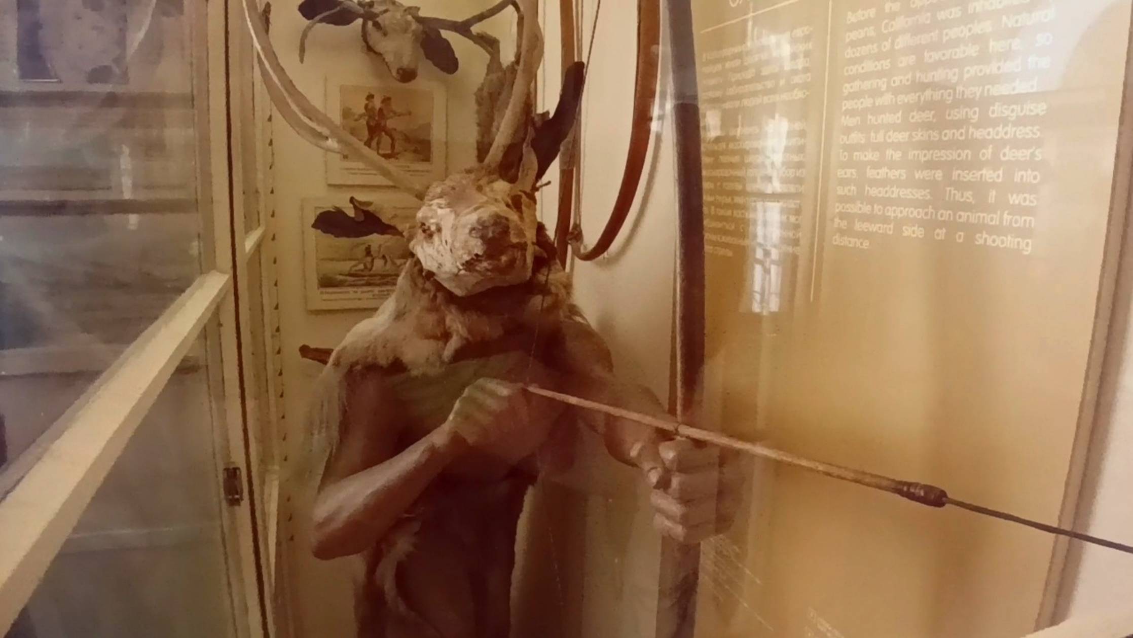 Прогулка по КУНСТКАМЕРЕ ! (1)