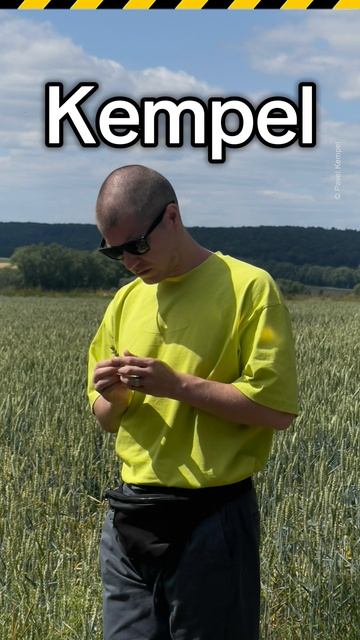 Трек из батла. Kempel