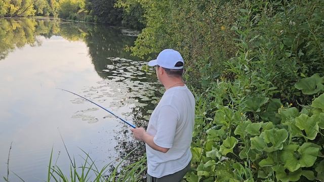 Рыбалка на реке Меша в Пестрецах 🎣