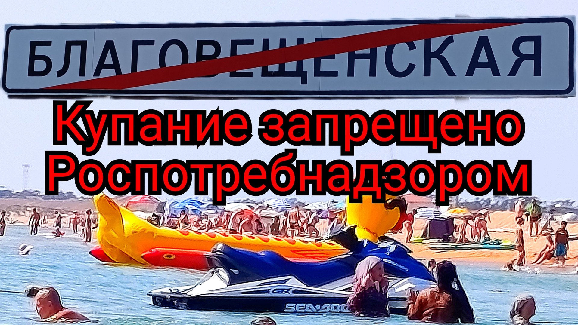47 #Анапа #Благовещенская станица #дельфины #пляж #море сегодня 10-08-2025