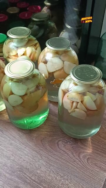 ЗАГОТОВКИ НА ЗИМУ