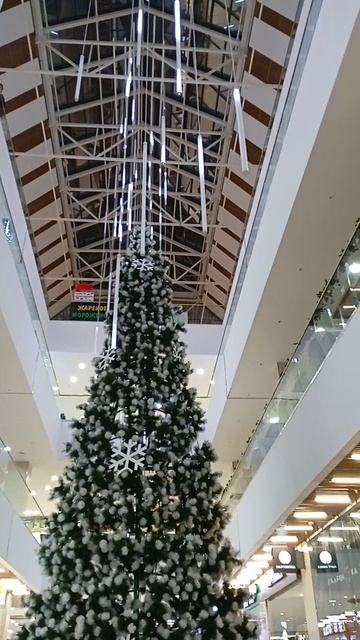Ёлка в торговом центре