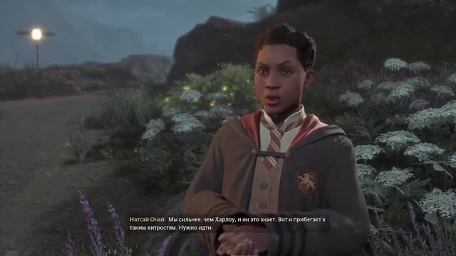 Hogwarts Legacy прохождение ( 15 часть)