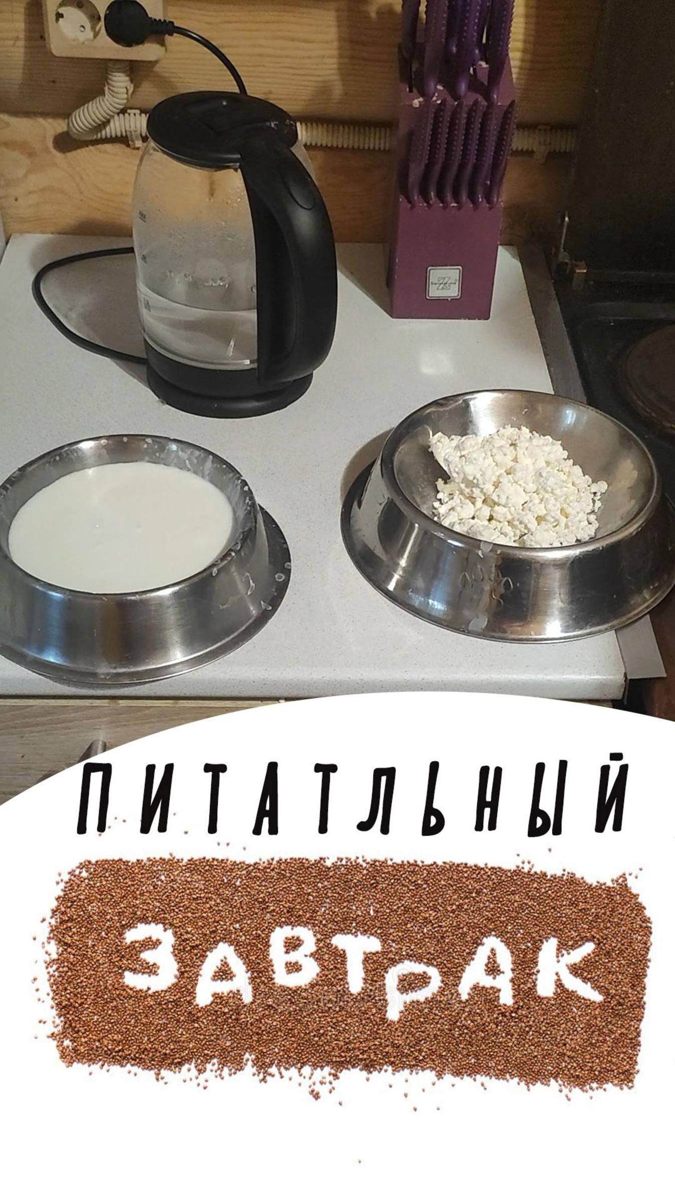 Утро в питомнике