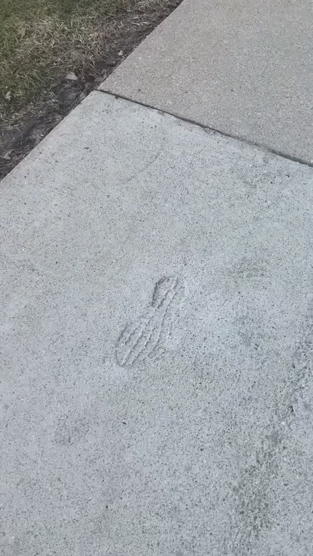 Дорисовки разных объектов