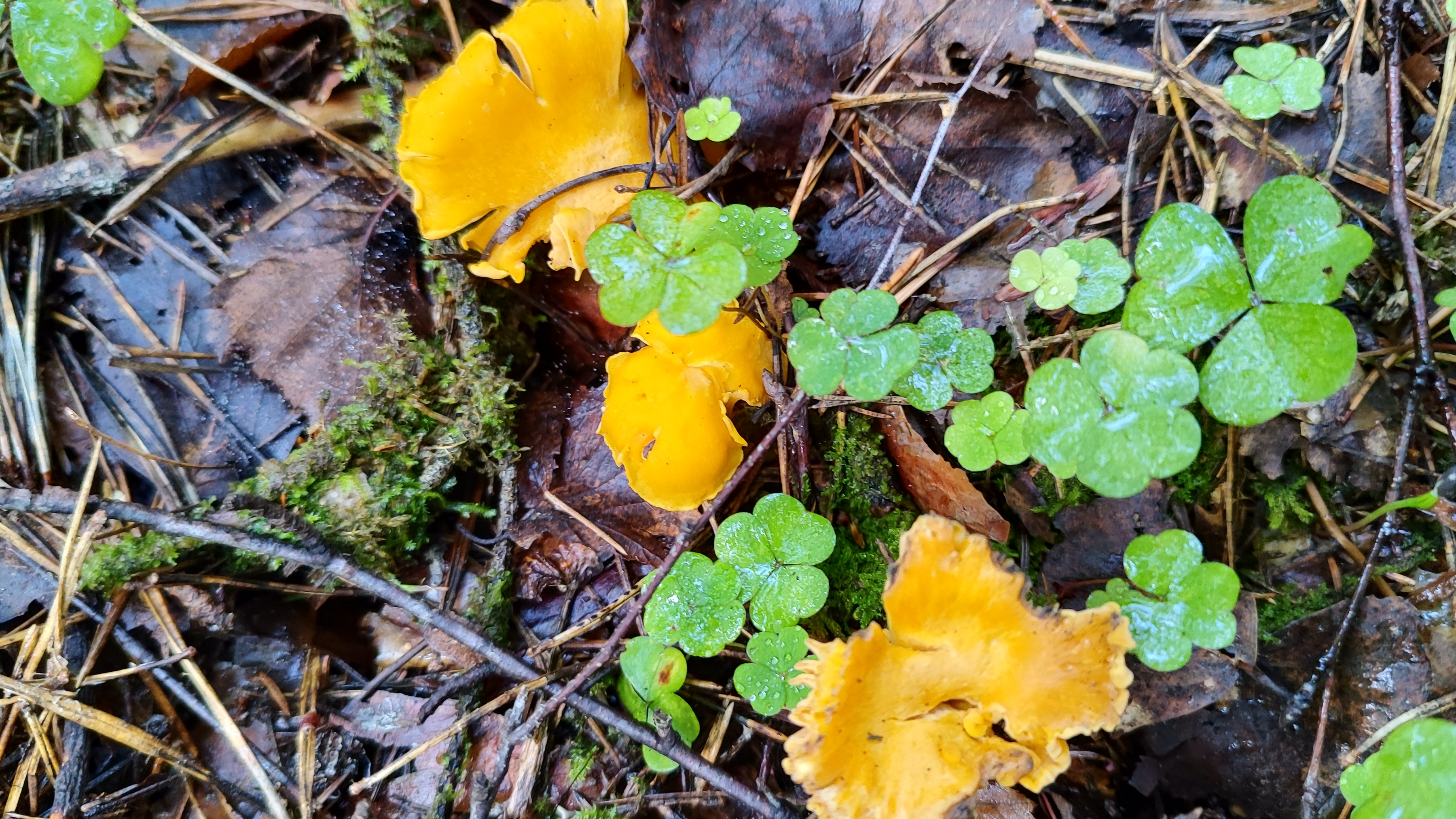 Дождь НЕ ПОМЕХА!🌧