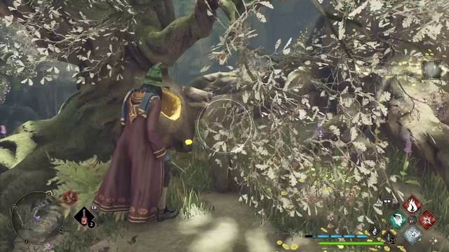 Hogwarts Legacy прохождение ( 13 часть)