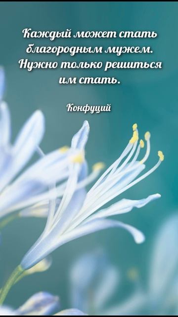 Каждый может стать благородным мужем. Нужно только решиться им стать. Конфуций
