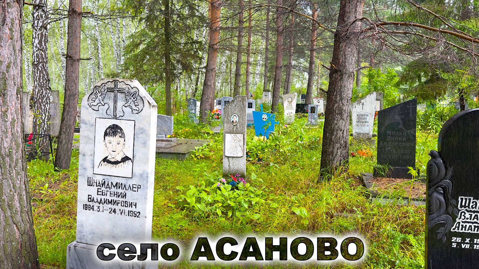 ПАПА, МАМА, СЫН, ДОЧЬ ЛЕЖАТ НА КЛАДБИЩЕ. Село АСАНОВО  1-часть (Петропавловск)