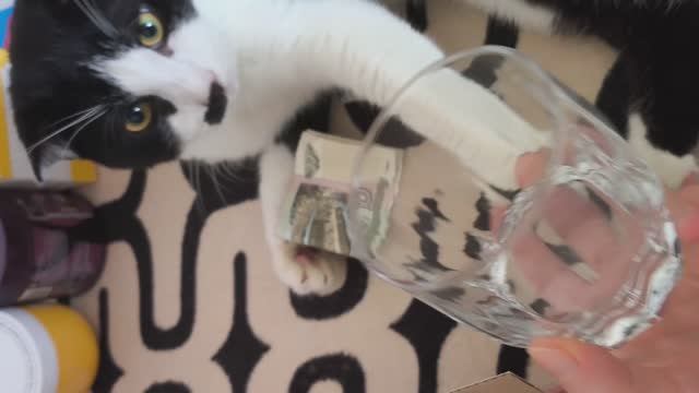 РАСПАКОВКА OZON