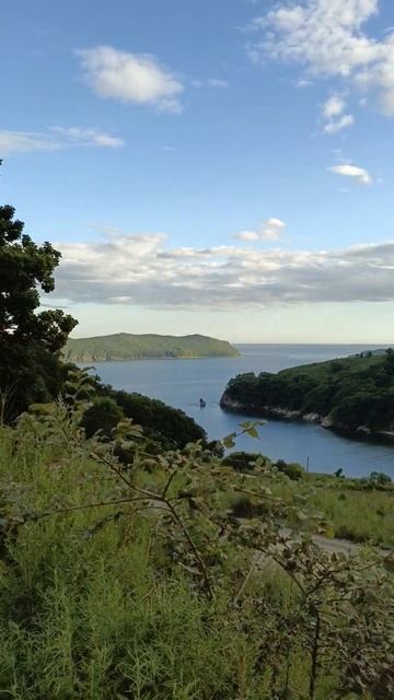 Лесная, 8.08.25, Находка