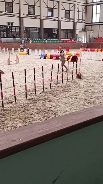 Хвостики и слалом