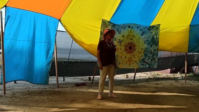 Стихи об улитке