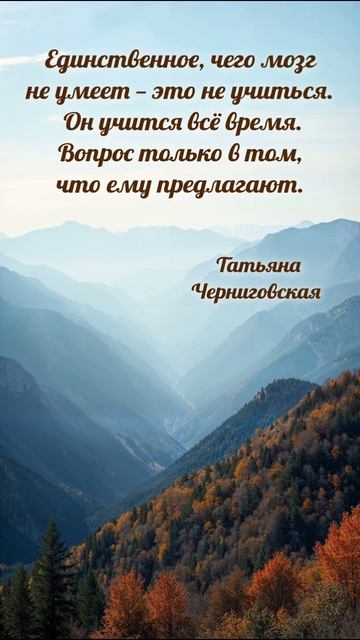 Единственное, чего мозг не умеет — это не учиться. Вопрос только в том, что ему предлагают.
