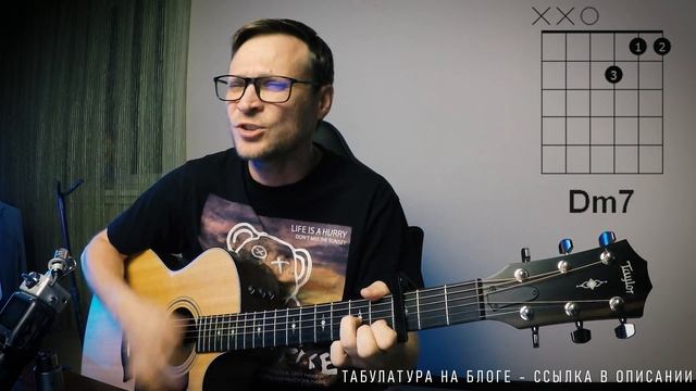 Мгновения - 17 мгновений весны  / кавер на гитаре _ аккорды