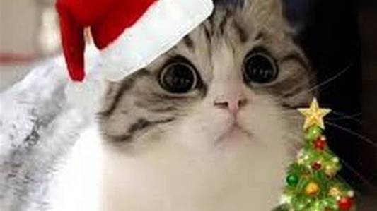 Take me to church (отрывок) #Guitarlife