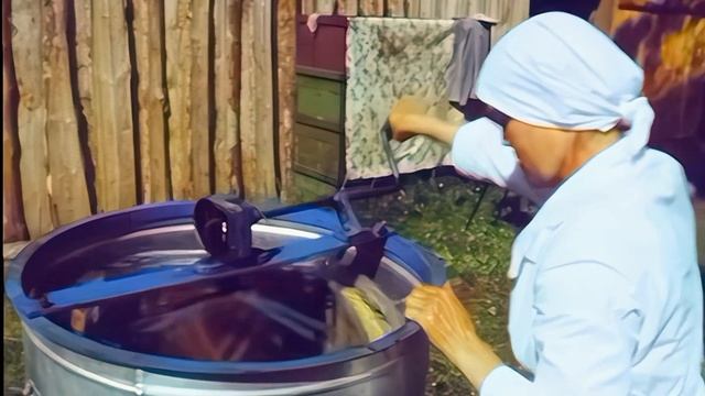 Как работали пчеловоды в СССР? Пасека 1986 года