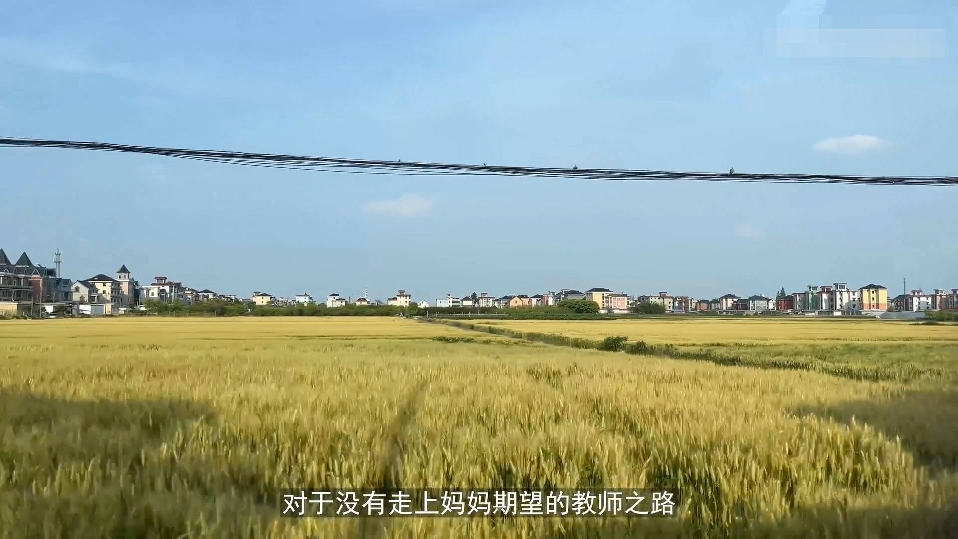 После автомобильной аварии, я провела три месяца в деревне. И больше не хочу возвращаться в город