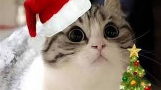 Кубинский танец