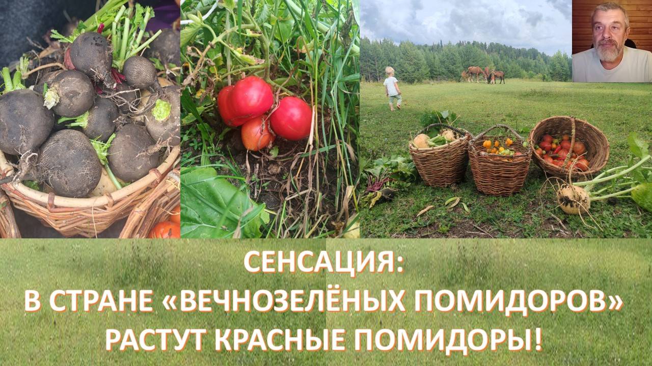 Нашу жизнь делают невыносимой два фактора: дураки и дороги!