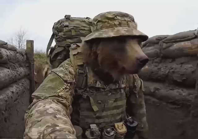 Доброго вечера от операторов FPV-дронов