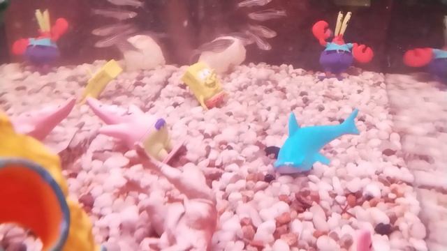 У МЕНЯ НОВЫЕ РЫБКИ ПОЯВИЛИСЬ И ИХ ЦЕЛАЯ ТОЛПА