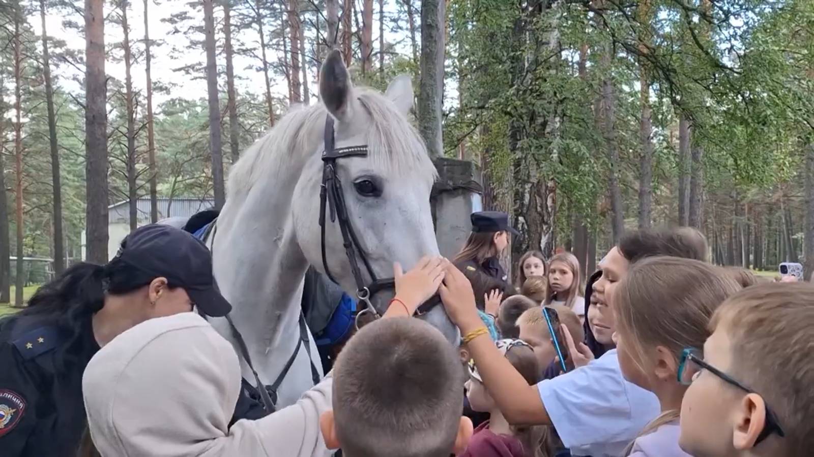 Опер-ТВ от 11.08.2025