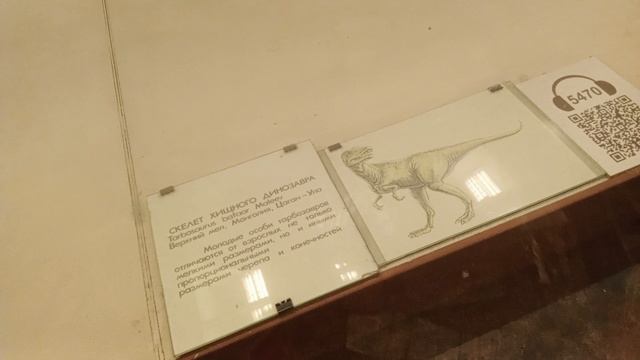 Палеонтологический музей