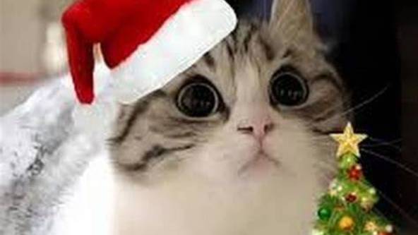 Ой, За Гаем, Гаем