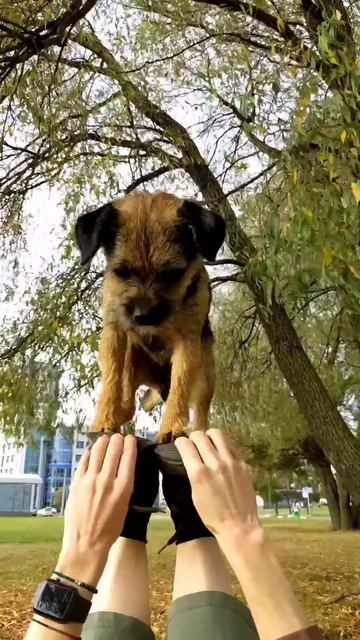 БТ Грэм - фут-столл, запрыг на стопы