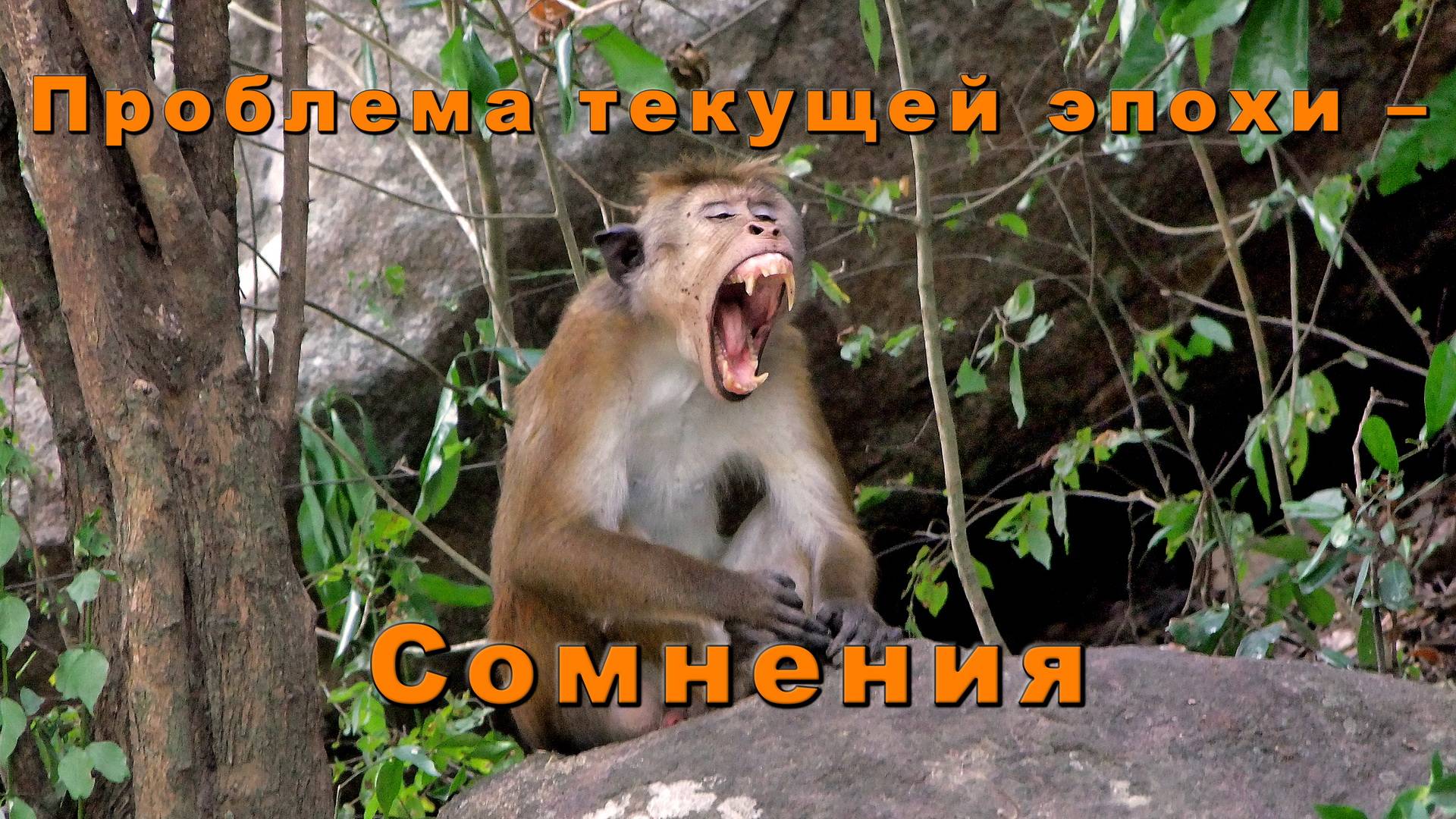 Проблема текущей эпохи – Сомнения