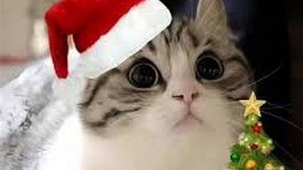 Как при лужку (Русская народная песня)