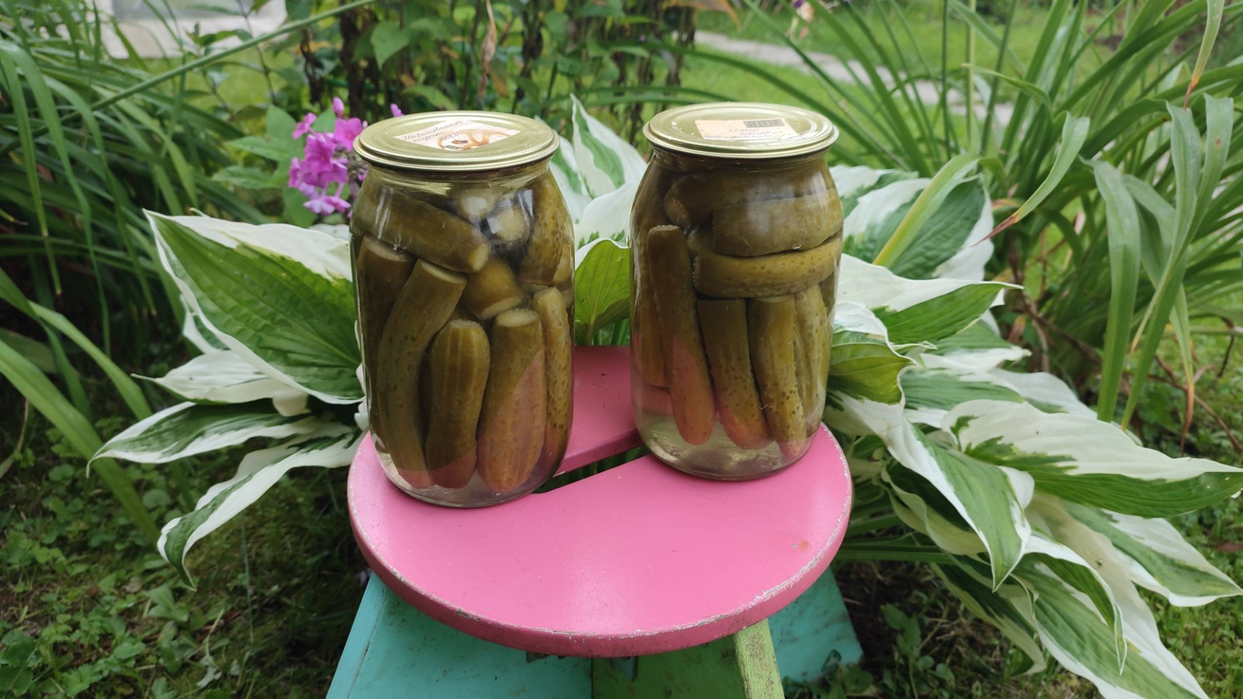 Маринованные огурцы на зиму.