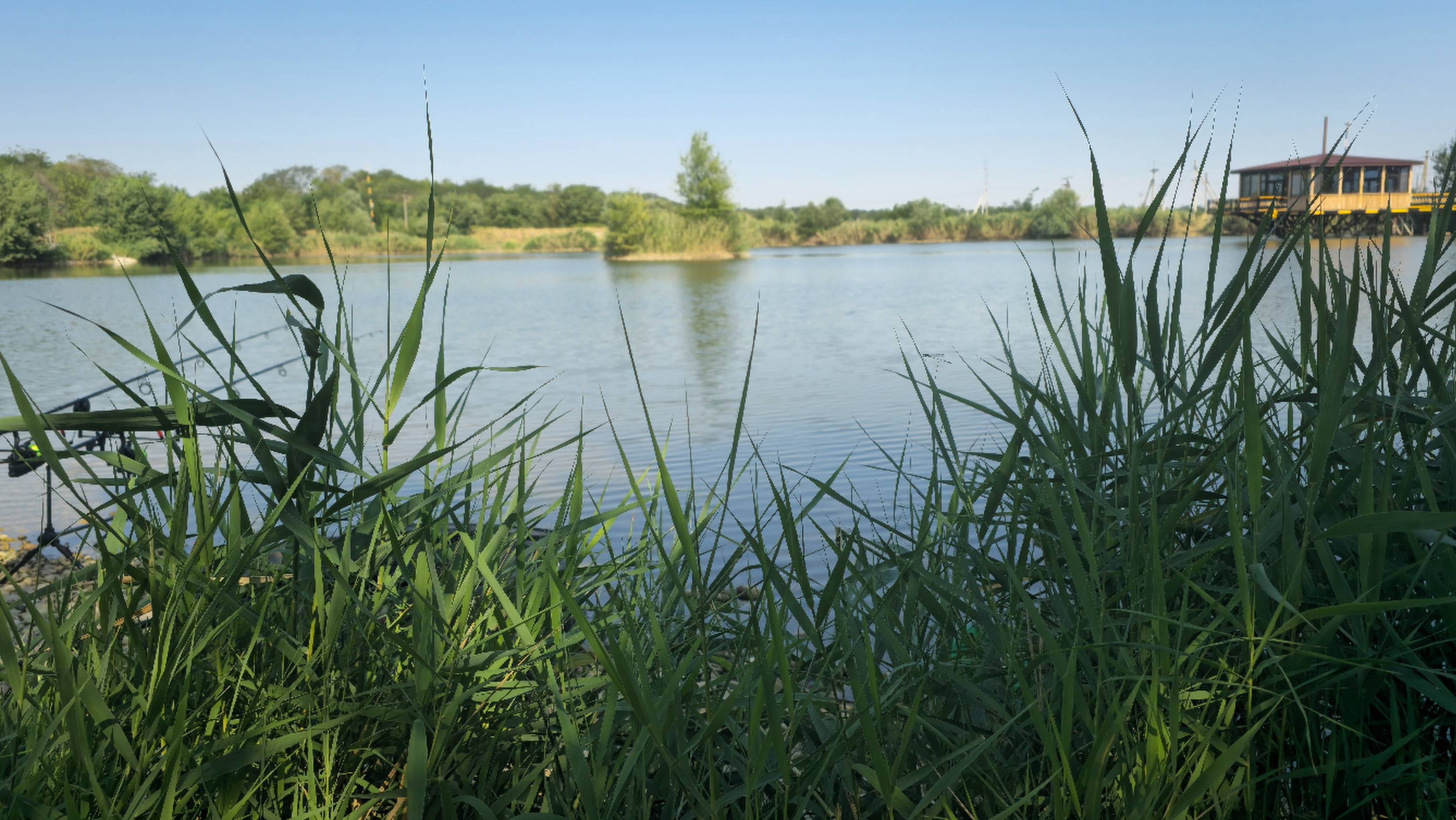 Короткая рыбалка на КРАСНОЙ ПОЛЯНЕ