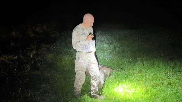 Патроны IGLA 308Win с пулями SP150 и SHAKAL160: тест на охоте