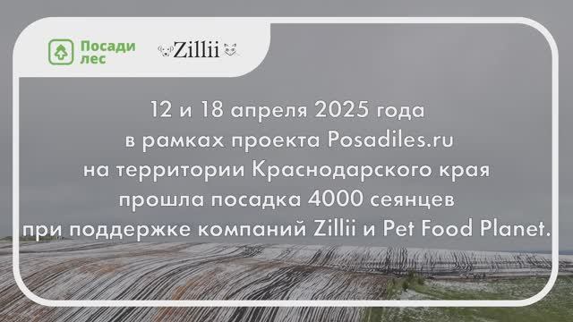 Посадка леса в Краснодарском крае 12.04.2025 года
