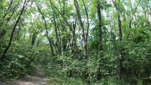 По кольцевому маршруту ДОЛИНЫ ОЧАРОВАНИЯ на... ВеЛоСиПеДе!!! Байкеры в ШОКЕ!. Я тоже! Часть 3