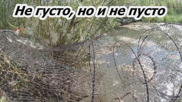 Рыбалка на вершу