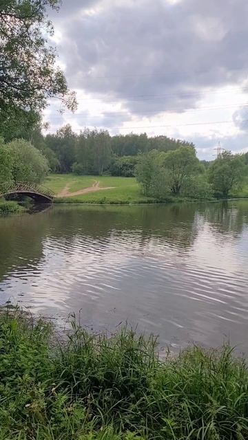 Бутовский лес. Зона отдыха Битца 2025. Июнь 2025г