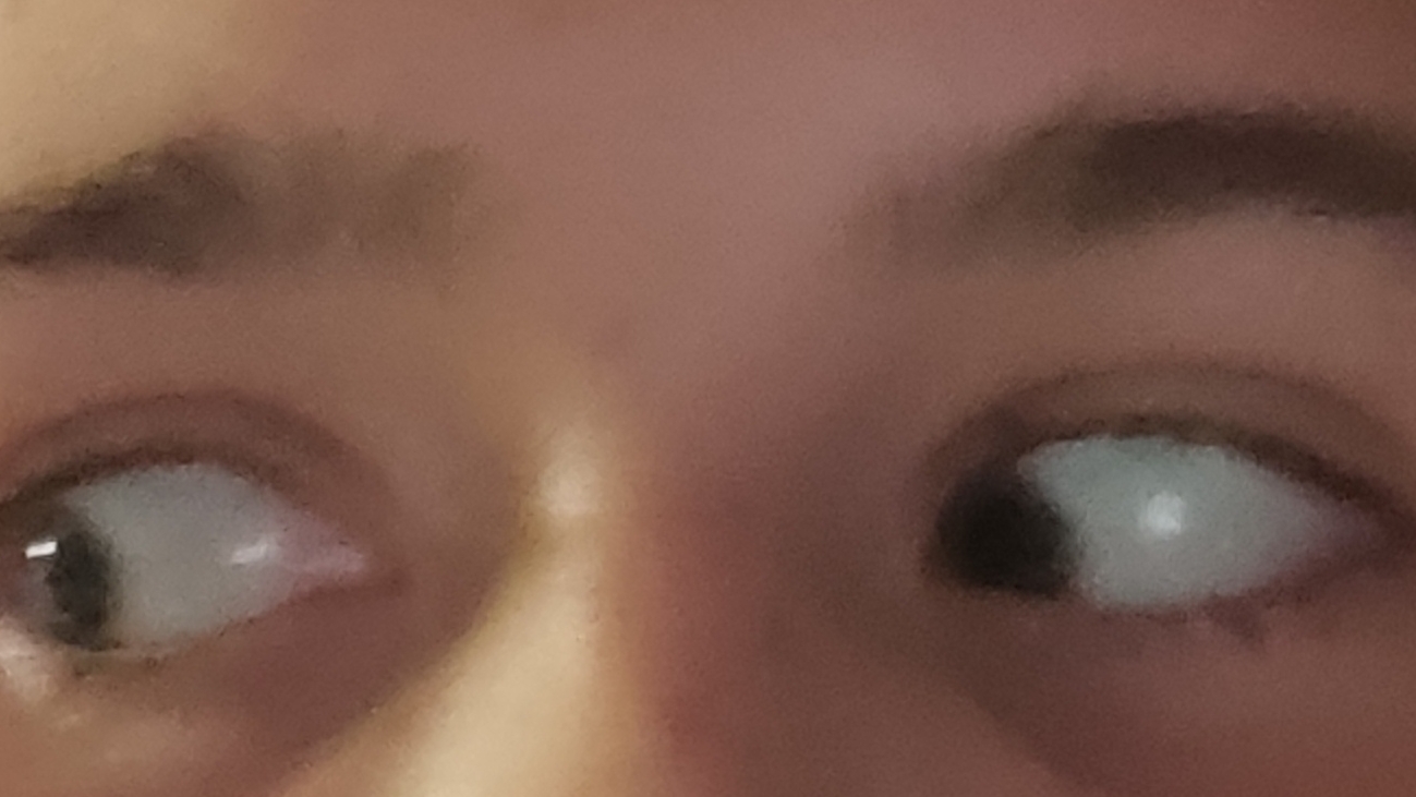 видимо что нельзя закончить школу живым