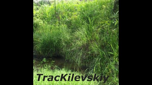 34 TracKilevskiy - Day three - water and land. The plant world ( вариант 2 )
