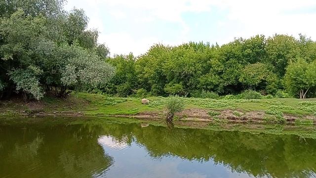 Прогулка на теплоходе по реке Ока с пристани Рязанского Кремля