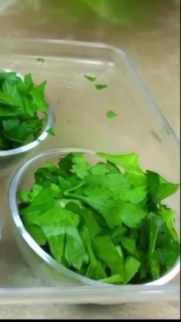 Как заготовить зелень на зиму