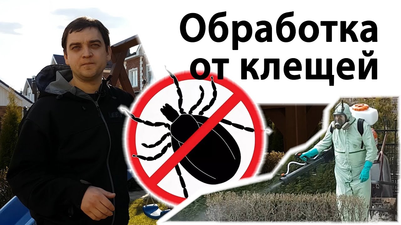 Обработка участка от клещей
