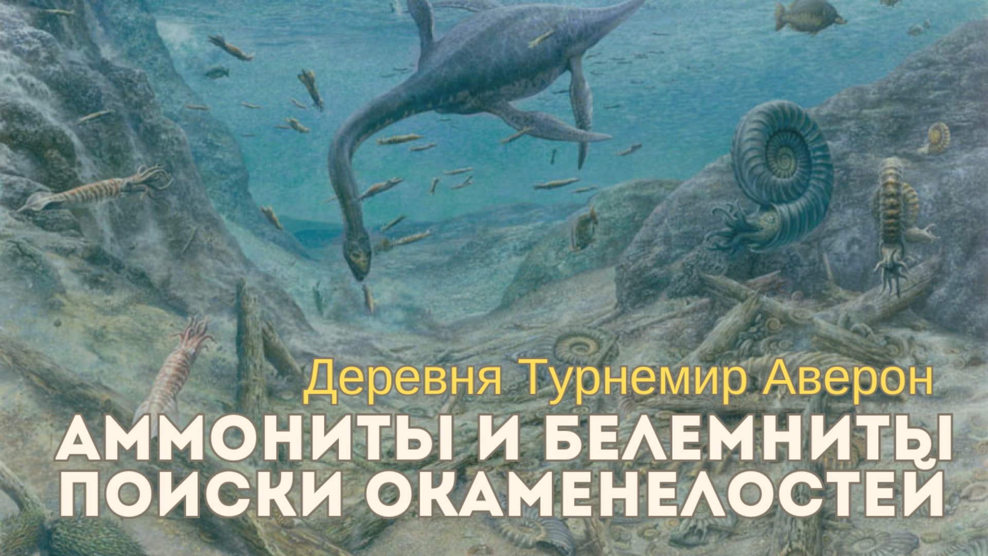 Турнемир: прогулка по морскому дну юрского периода в поисках древних моллюсков
